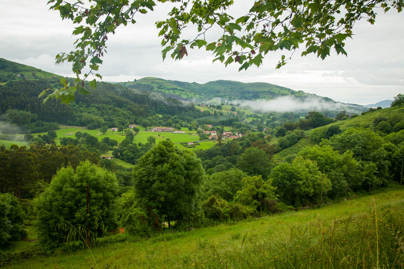 imagenes de solorzano – Ayuntamiento de Solórzano